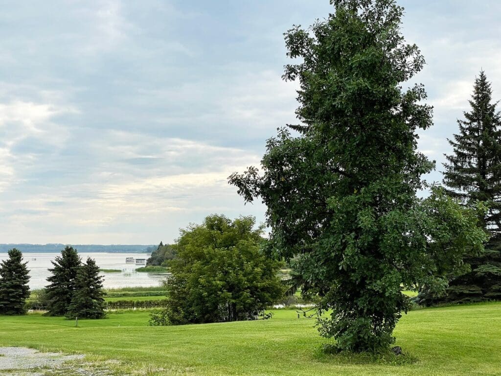 Buck Lake Provincial Recreation Area/Camp Ground | Discover Wetaskiwin West